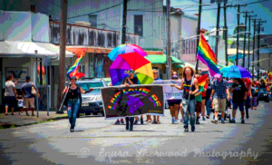 Hawaii Island Pride - Hawaii LGBT Legacy Foundation